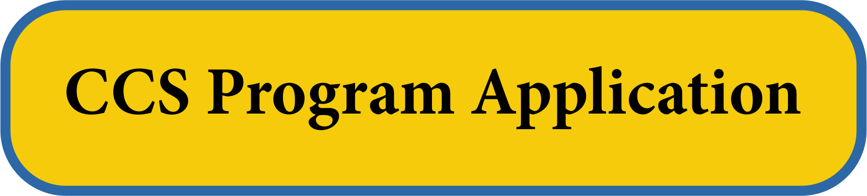 Application | Corporate Certificate School